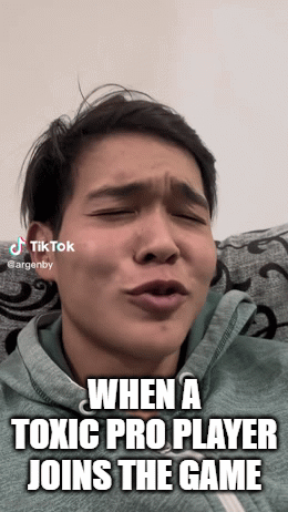 pro player - Imgflip