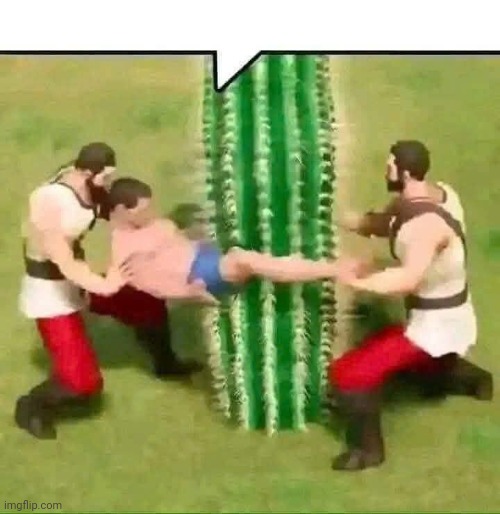 me and a cactus - Imgflip