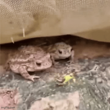 Not As Tasty As He Expected ! - Imgflip