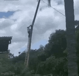 Nice grab to stop falling - Imgflip