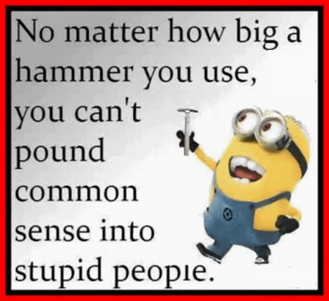 Common Sense - Imgflip