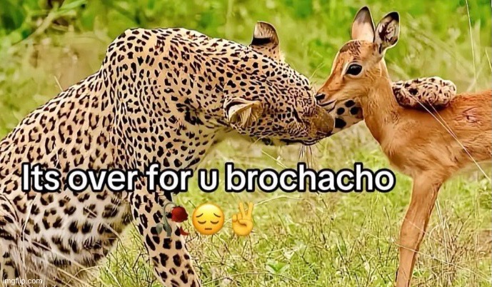 I created an account just to reply to the Claire porn - Imgflip