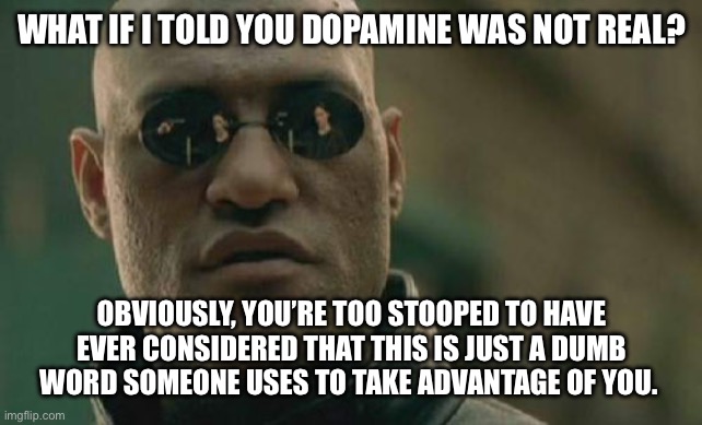 False beliefs of stupidity - Imgflip