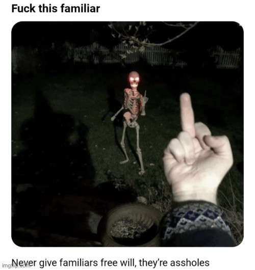 Its wizard time mf - Imgflip