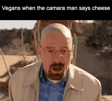 Average Vegan - Imgflip