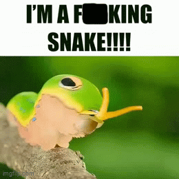 Image tagged in gifs,snake,caterpillar - Imgflip