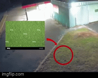 Image tagged in gifs,memes,shitpost,msmg,oh wow are you actually reading these tags - Imgflip