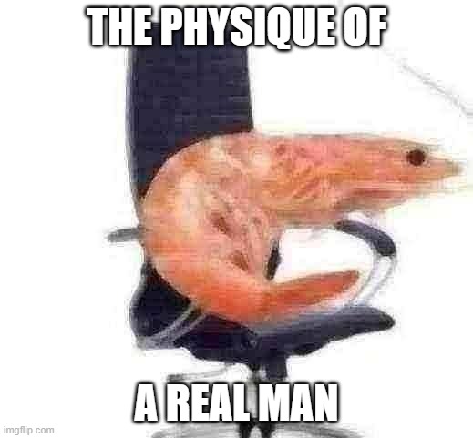 chair shrimp - Imgflip