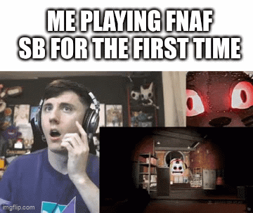 me playing fnaf sb for the first time - Imgflip