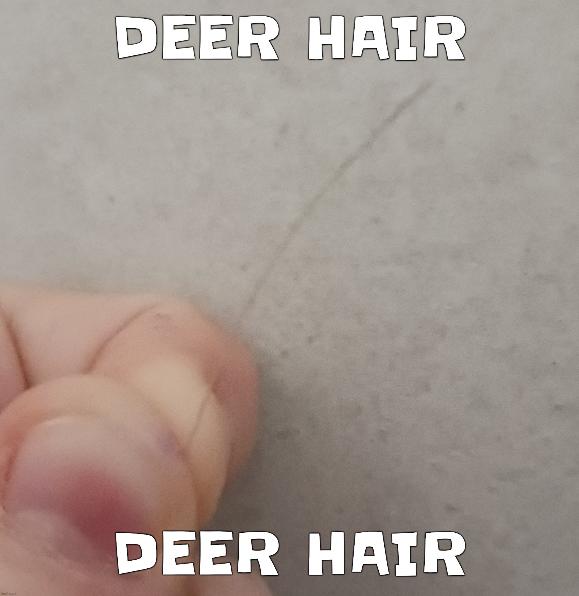 Deer hair (I'm being serious this is a real deer hair) - Imgflip