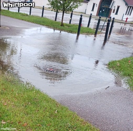 Listening to: Long way from home - Fatboy slim - Imgflip