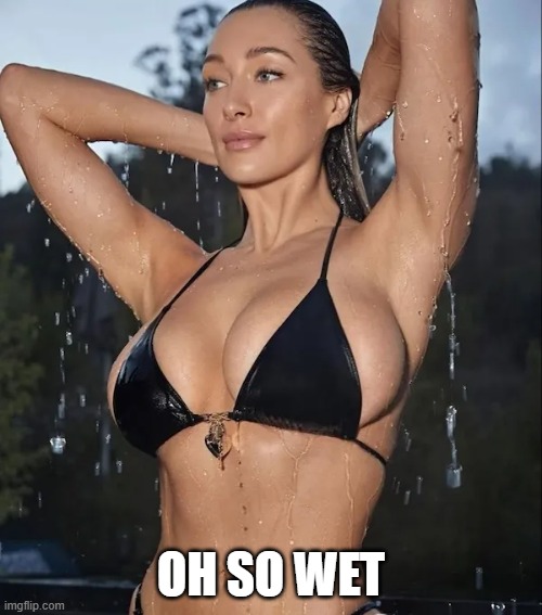 Wet - Imgflip