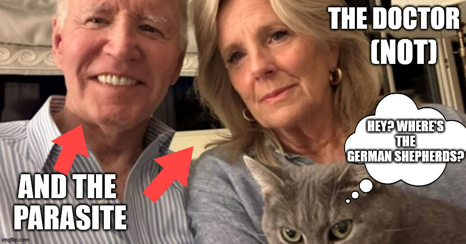 Image tagged in new pet in town - Imgflip