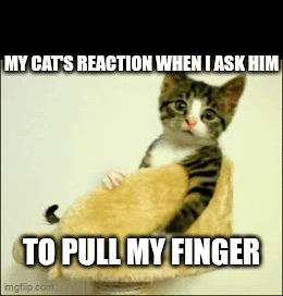 Pull my finger - Imgflip