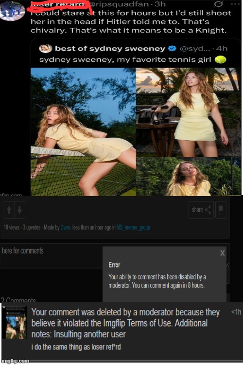 bro these mods need to calm down - Imgflip