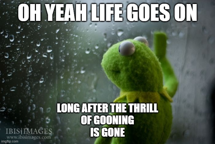 kermit window - Imgflip