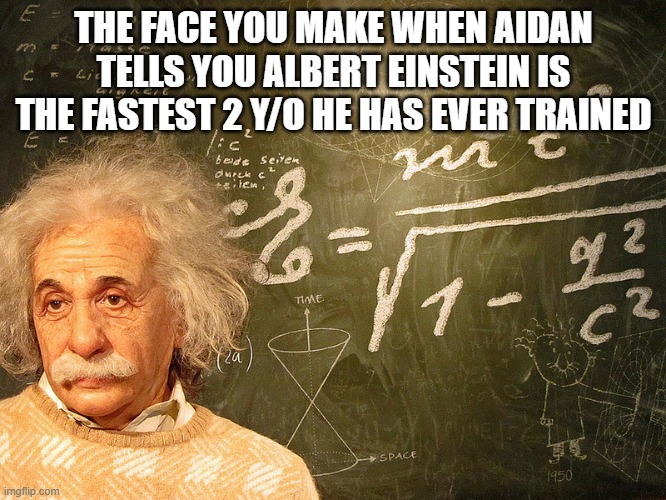 Albert Einstein - Imgflip