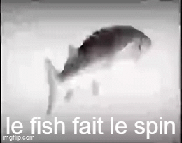 Spinning Fish - Imgflip