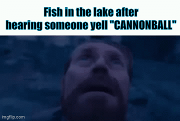 Im sorry fishies - Imgflip