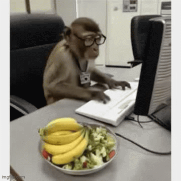 In Every Office You'll Find An Old Lady Trying To Look Busy ! - Imgflip