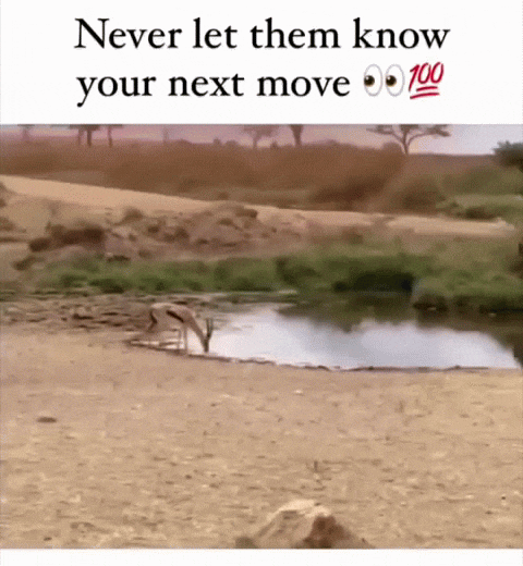 Never Let Them Know Your Next Move - Imgflip