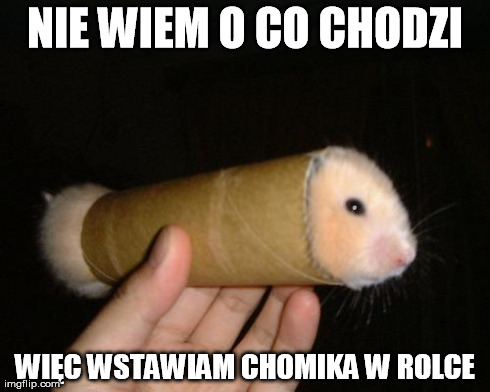Image tagged in chomik w rolce - Imgflip