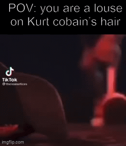 Image tagged in gifs,nirvana,kurt cobain,dark humor,memes - Imgflip