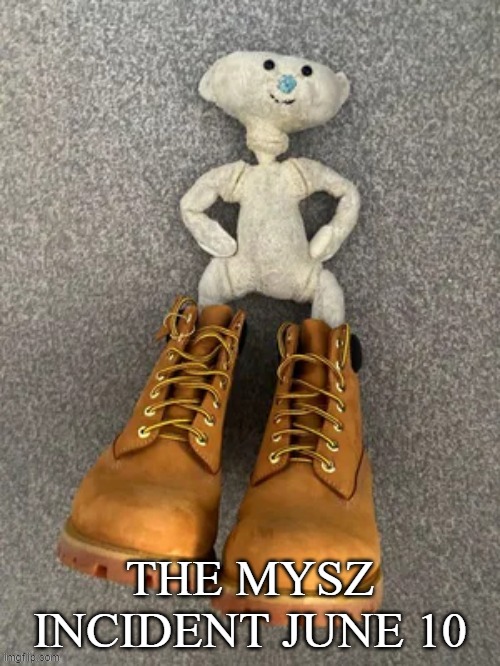 Bear with da timbs - Imgflip