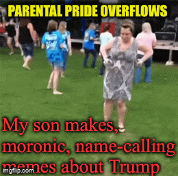 Democratic Pride - Imgflip