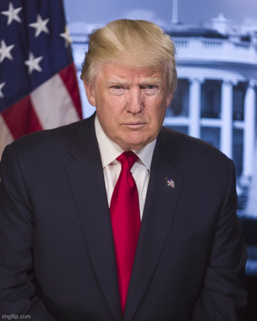 The White House unveils a new, darker official Trump portrait ...