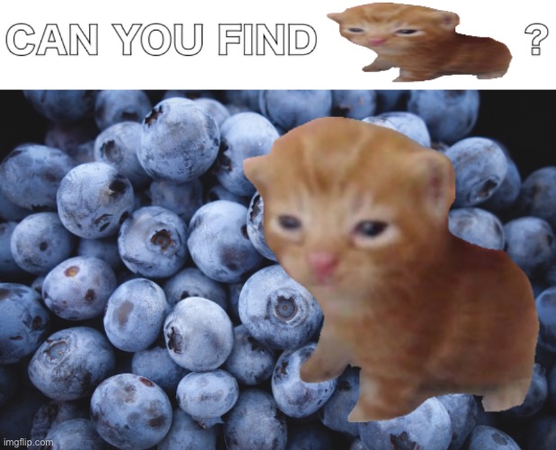 Find Hubert (extremely hard) - Imgflip