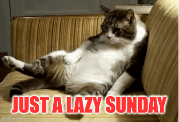 Lazy Sunday - Imgflip