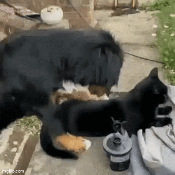 Ah ... That's The Spot ! - Imgflip