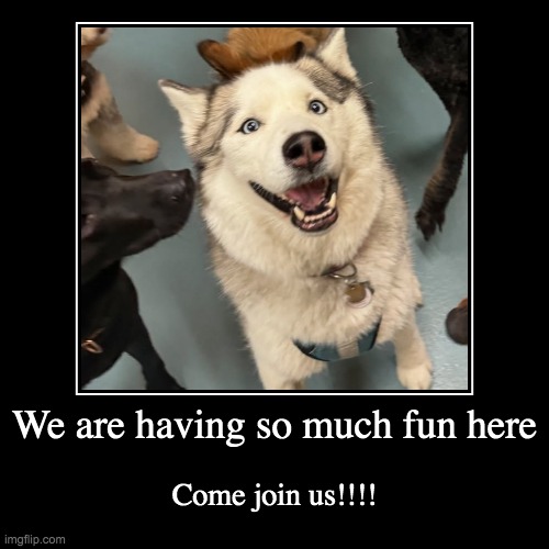 Having Fun Imgflip Having Fun Imgflip