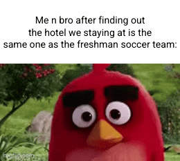 drink as much as you can - Imgflip