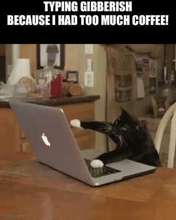 Typing gibberish cat - Imgflip