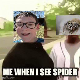 Scared of spiders - Imgflip