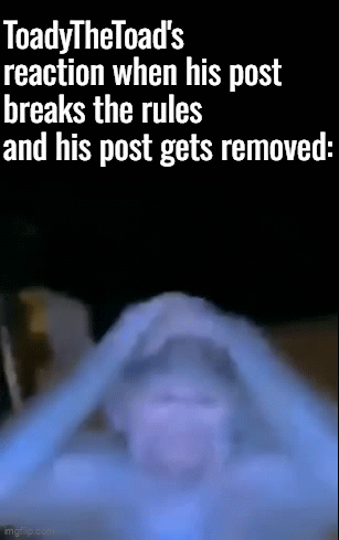 Confused Monkey - Imgflip