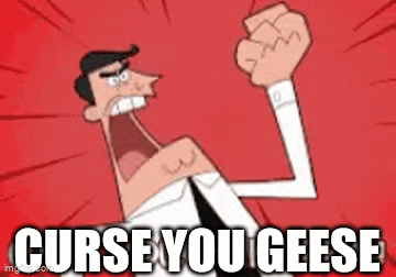 CURSE YOU GEESE - Imgflip