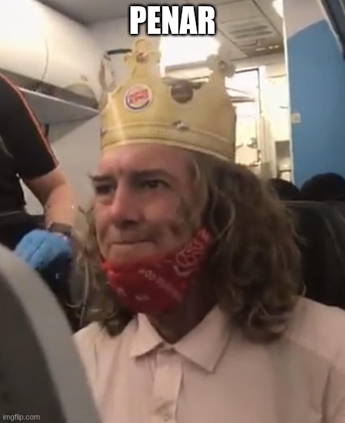 Burger King Crown Airplane - Imgflip