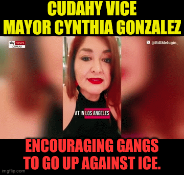 Another Crazy California Politician - Imgflip