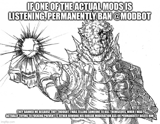 Fuck modbot, Roblox has better moderation than you will ever have - Imgflip