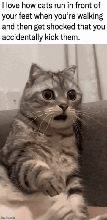 How dare you - Imgflip