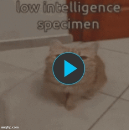 low intelligence specimen - Imgflip