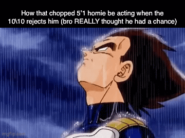 Also I need meme ideas desperately if you could leave some in the ...