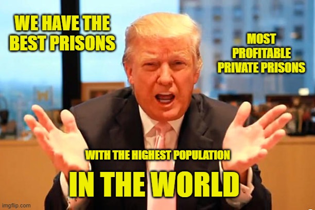 Awesome Alligator Alcatraz - Imgflip