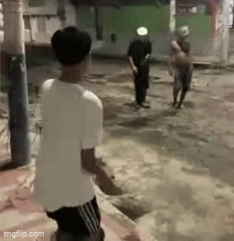 temu plants vs zombies - Imgflip