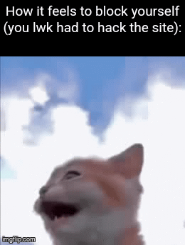 Finally, peace. - Imgflip