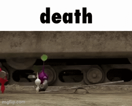 Animated GIF - Imgflip