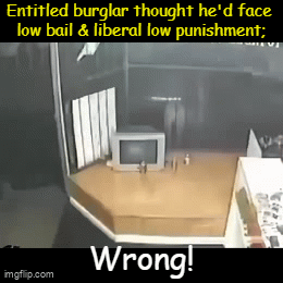 Justice for Thieves! - Imgflip